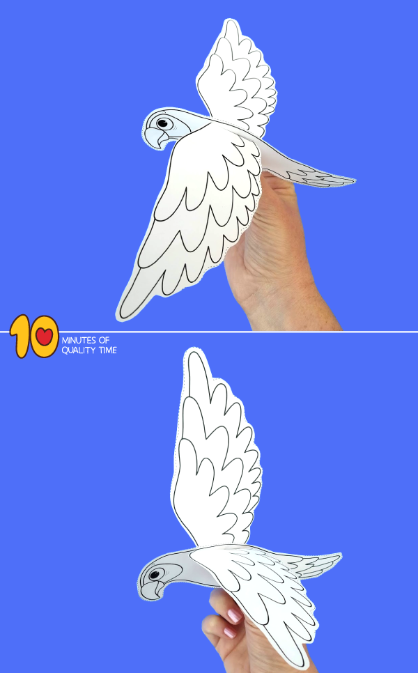 Flying Parrot Craft 10 Minutes Of Quality Time