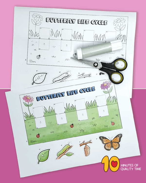 Butterfly Life Cycle 3D Craft – 10 Minutes of Quality Time